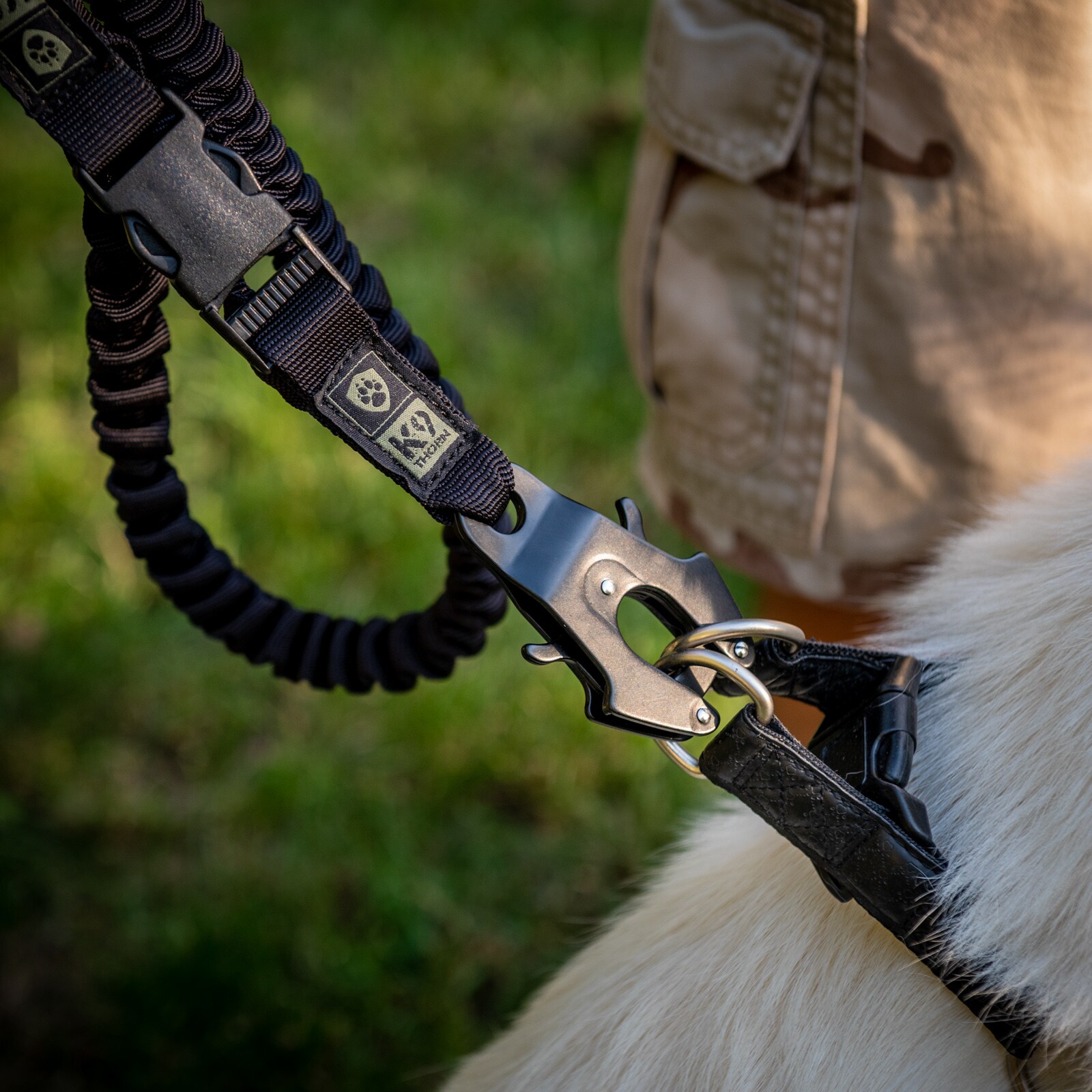 K9 Thorn Kong Frog Leash with shock absorber black - 272 cm - Buy ...