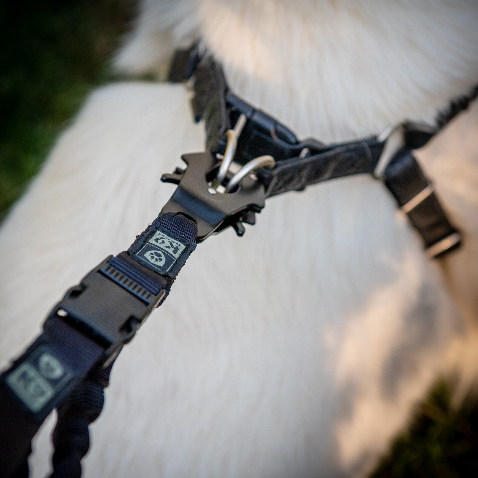 K9 Thorn Kong Frog Leash with shock absorber black - 272 cm - Buy ...